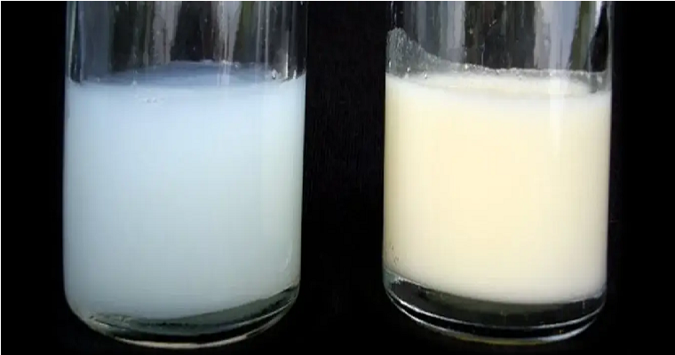 ¿Cómo detectar las alteraciones que afectan la calidad de la leche ...